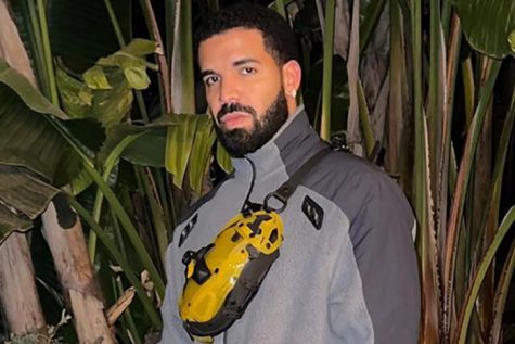 Drake Shows Off New Braids – VAB